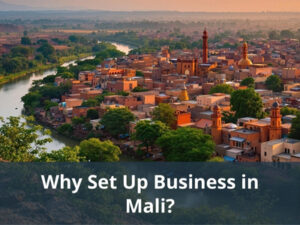 Why Set Up Business in Mali | Top Benefits and Opportunities