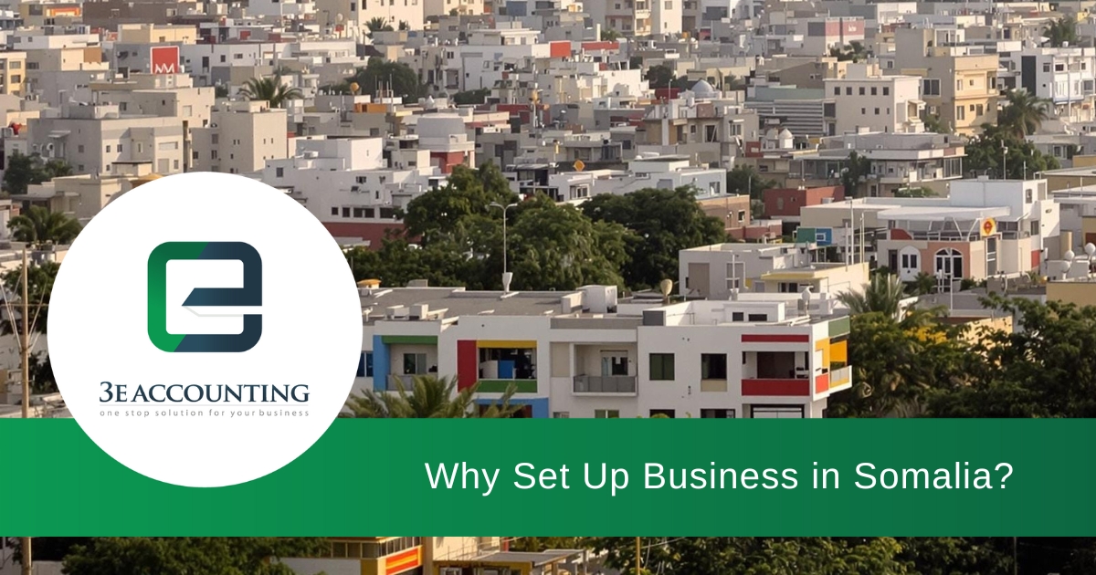 Why Set Up Business in Somalia | Top Benefits and Opportunities
